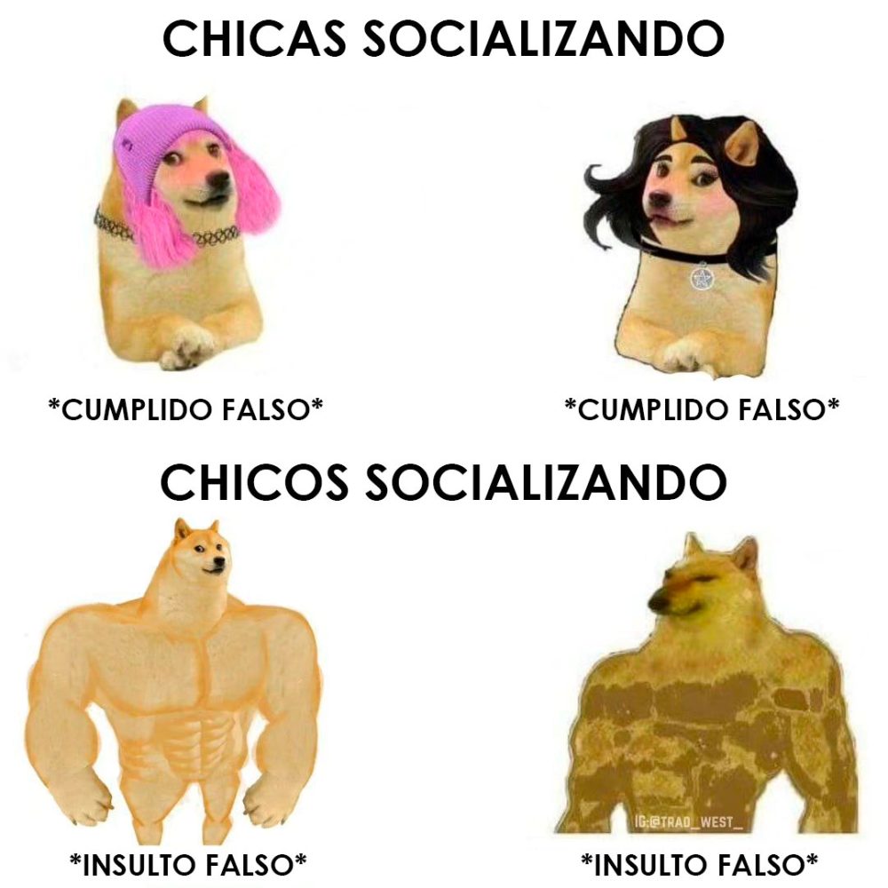 Memes y Mamadas - Neo Mujico